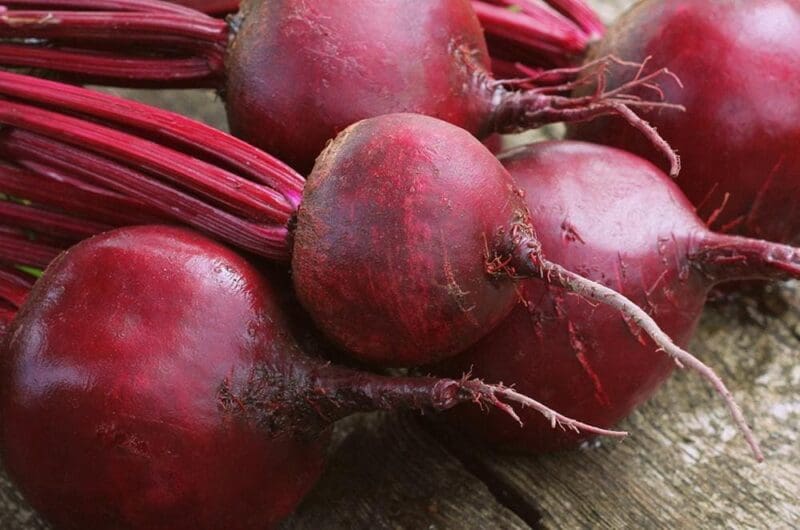 Beetroot Ruby Queen Seeds | Heirloom & Open Pollinated