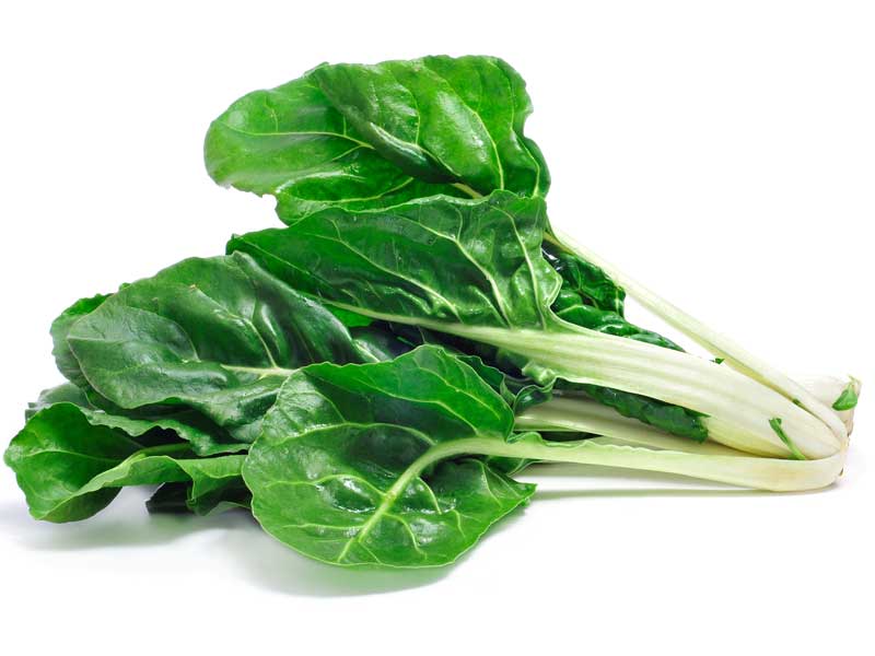 Silverbeet Fordhook Vegetable Seeds | Bulk & Heirloom