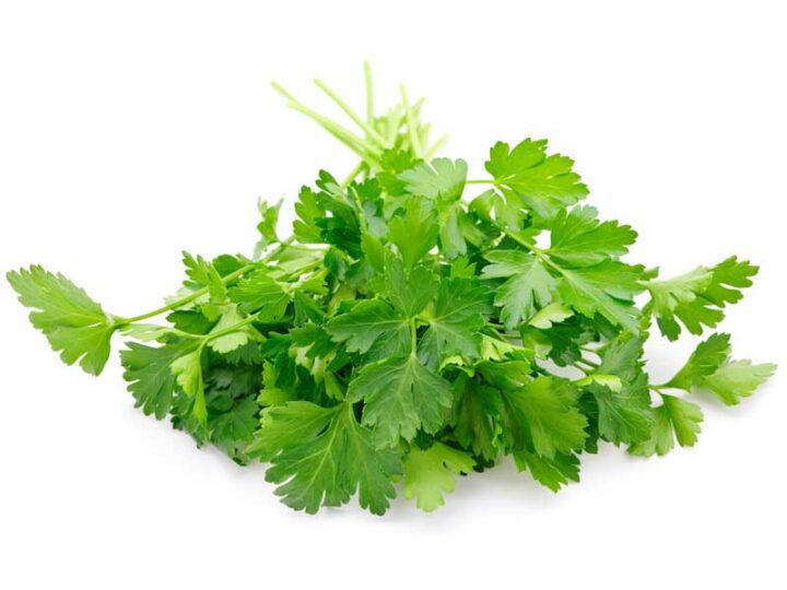Guide on Different Types of Parsley | Growing, Uses & Recipes