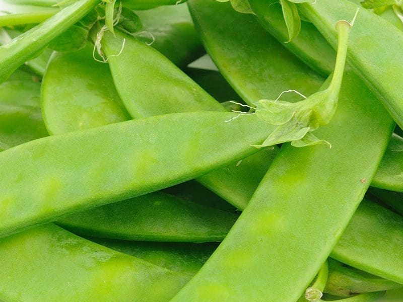 Snowpea Oregon Sugar Pod Vegetable Seeds - Seedmart Australia