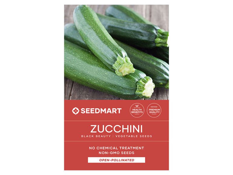 Zucchini Black Beauty Seeds | Non-GMO | Tender & Delicious