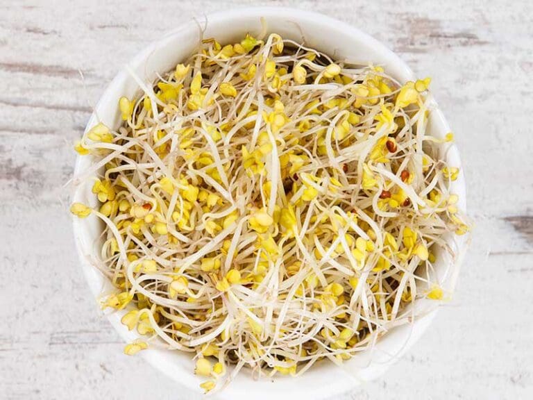 Sprouts 101: What They Are, How to Grow Them & Why You Should Start ...