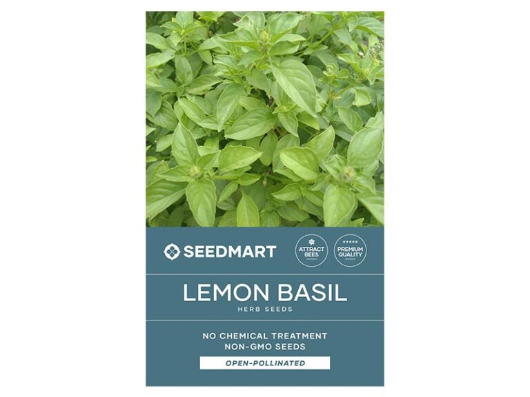 Basil Genovese Seeds | Bulk | Microgreens or Herbs Basil Genovese Seeds | Bulk | Microgreens or Herbs