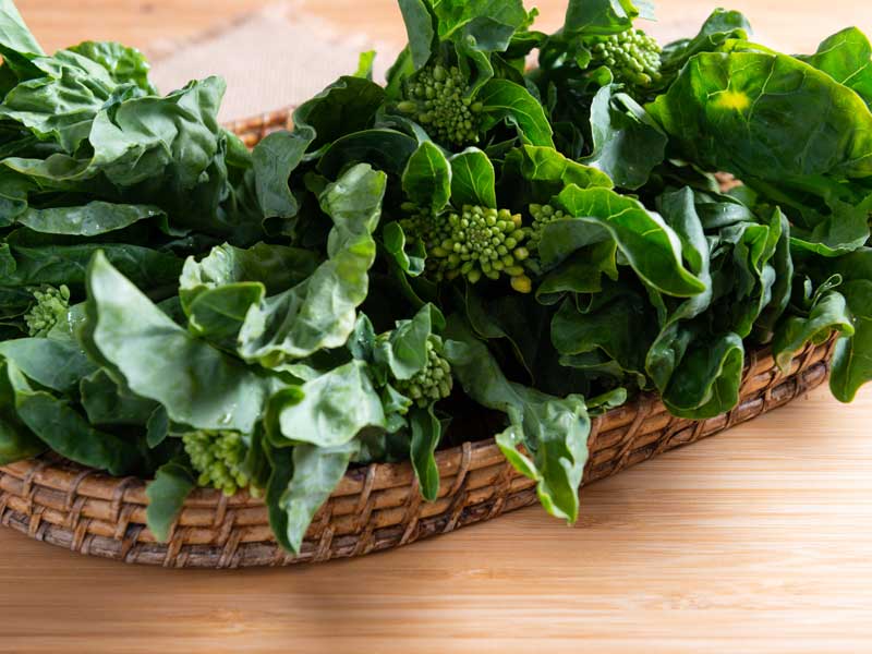 Complete Guide to Growing Broccoli Varieties in Australia – Seedmart ...
