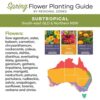 Which Flowers to Plant in Spring in Your Region - Seedmart Australia