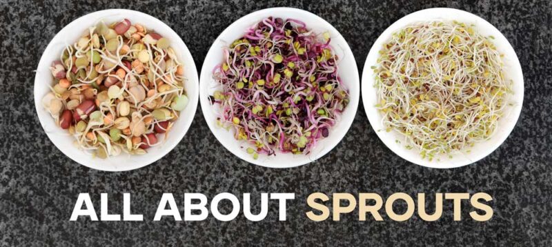 Sprouts 101: What They Are, How to Grow Them & Why You Should Start ...