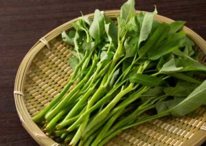 How to Grow Water Spinach: A Complete Guide - Seedmart Australia