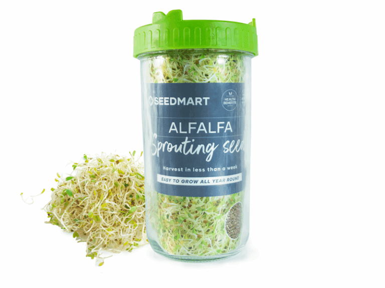 Sprouting Seeds – Seedmart Australia