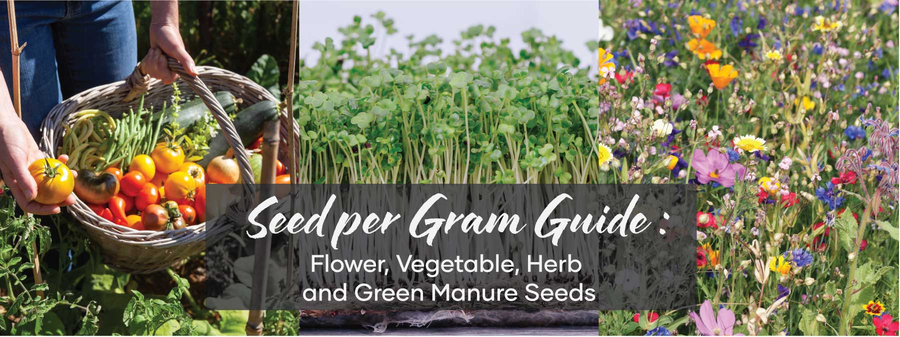 Seeds Per Gram Guide - Seedmart Australia