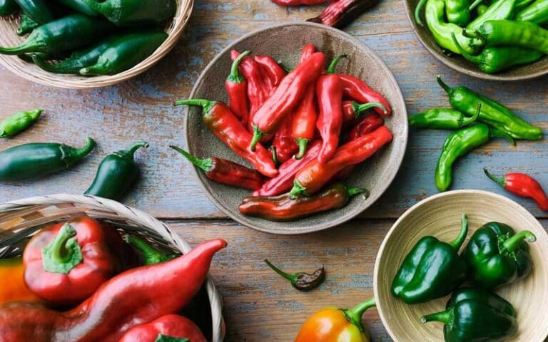 The Ultimate Guide To Chilli Varieties – Seedmart Australia