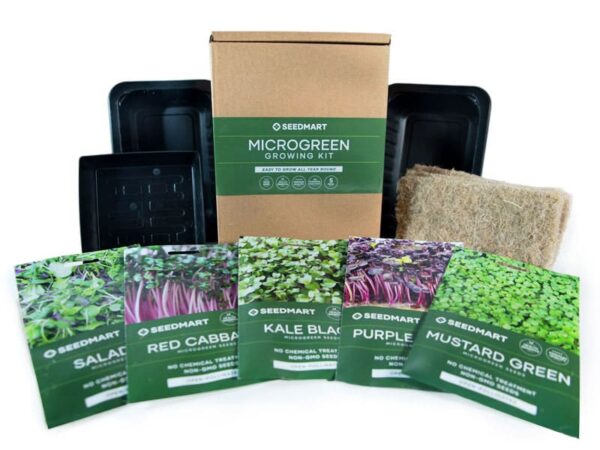 Microgreen Seeds – Seedmart Australia