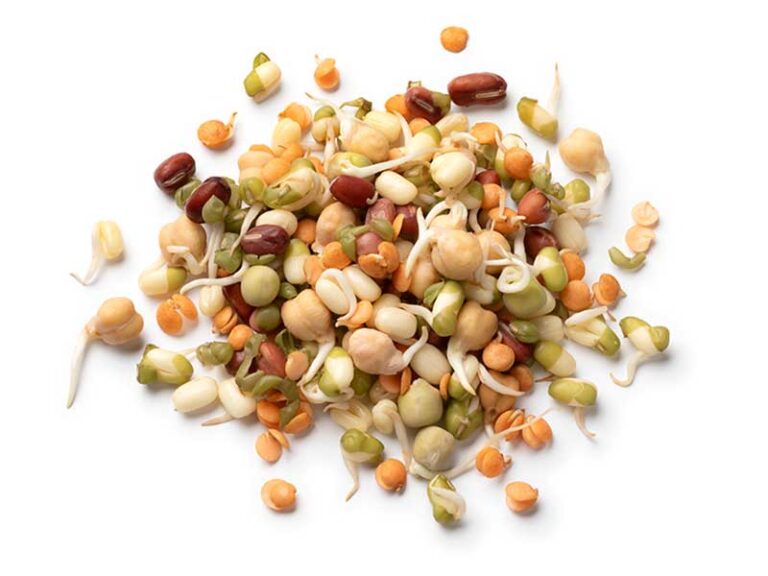 Sprouting Seeds – Seedmart Australia
